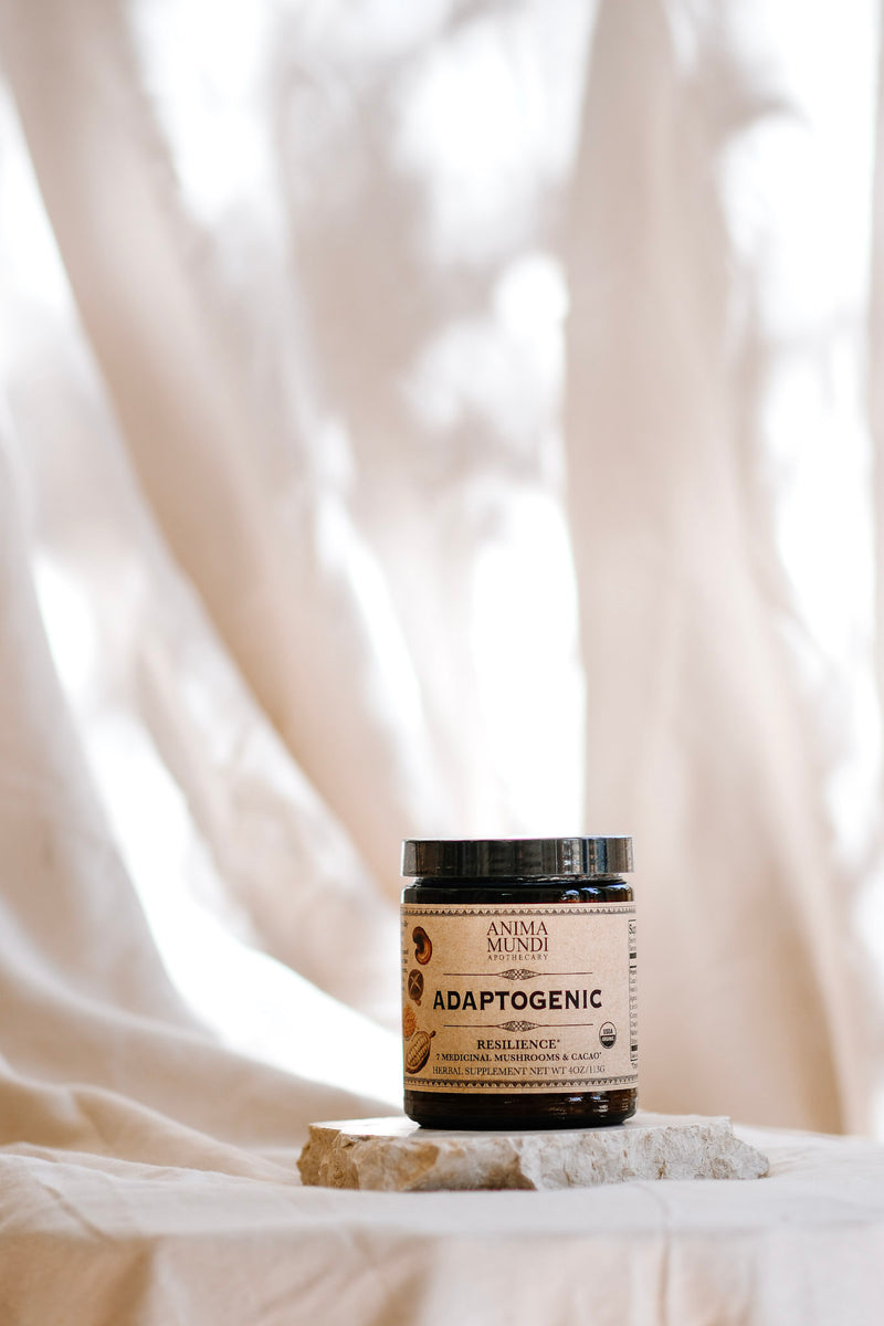 ADAPTOGENIC Powder | Organic, 7 Medicinal Mushrooms + Cacao – Gathered ...